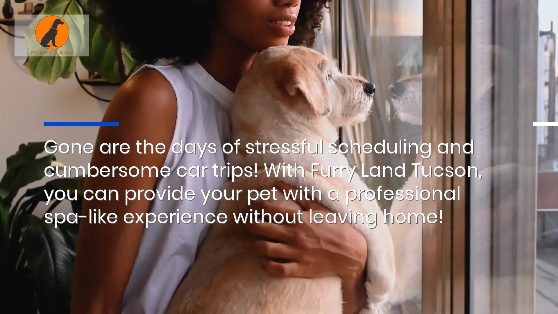 Tucson Mobile Pet Grooming Salon Offers Therapeutic Hydrobaths For Dogs ...