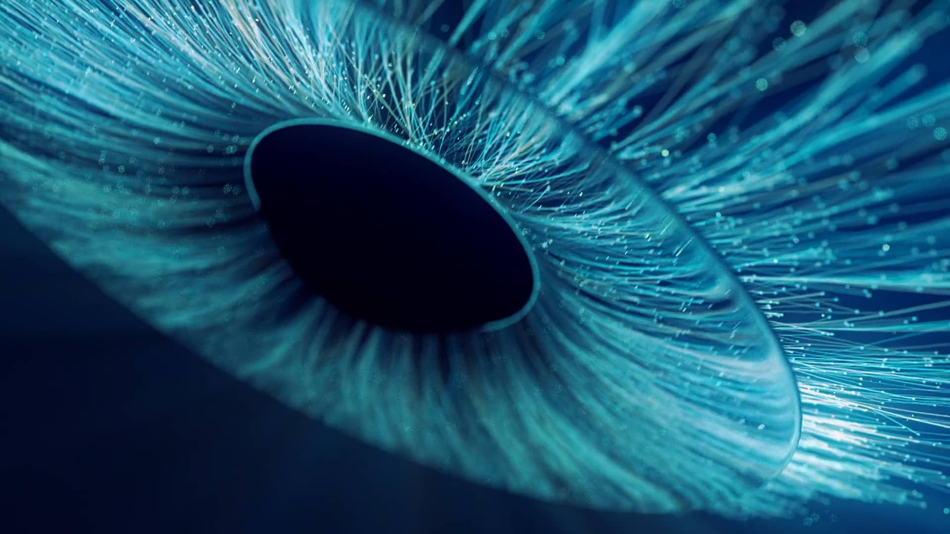 Eyerising International Brand Identity on Vimeo