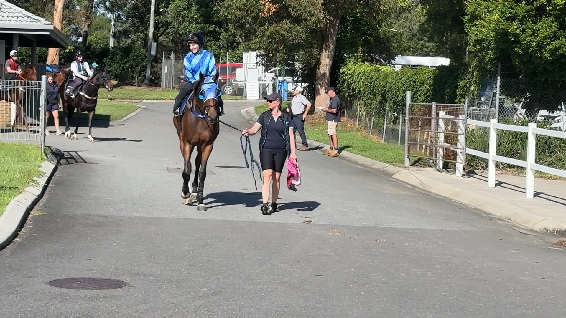 Elvis parade on Vimeo