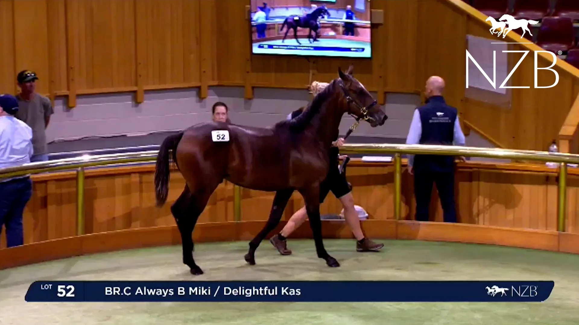 Rubira 2023 Auckland Yearling Sale, Lot 52