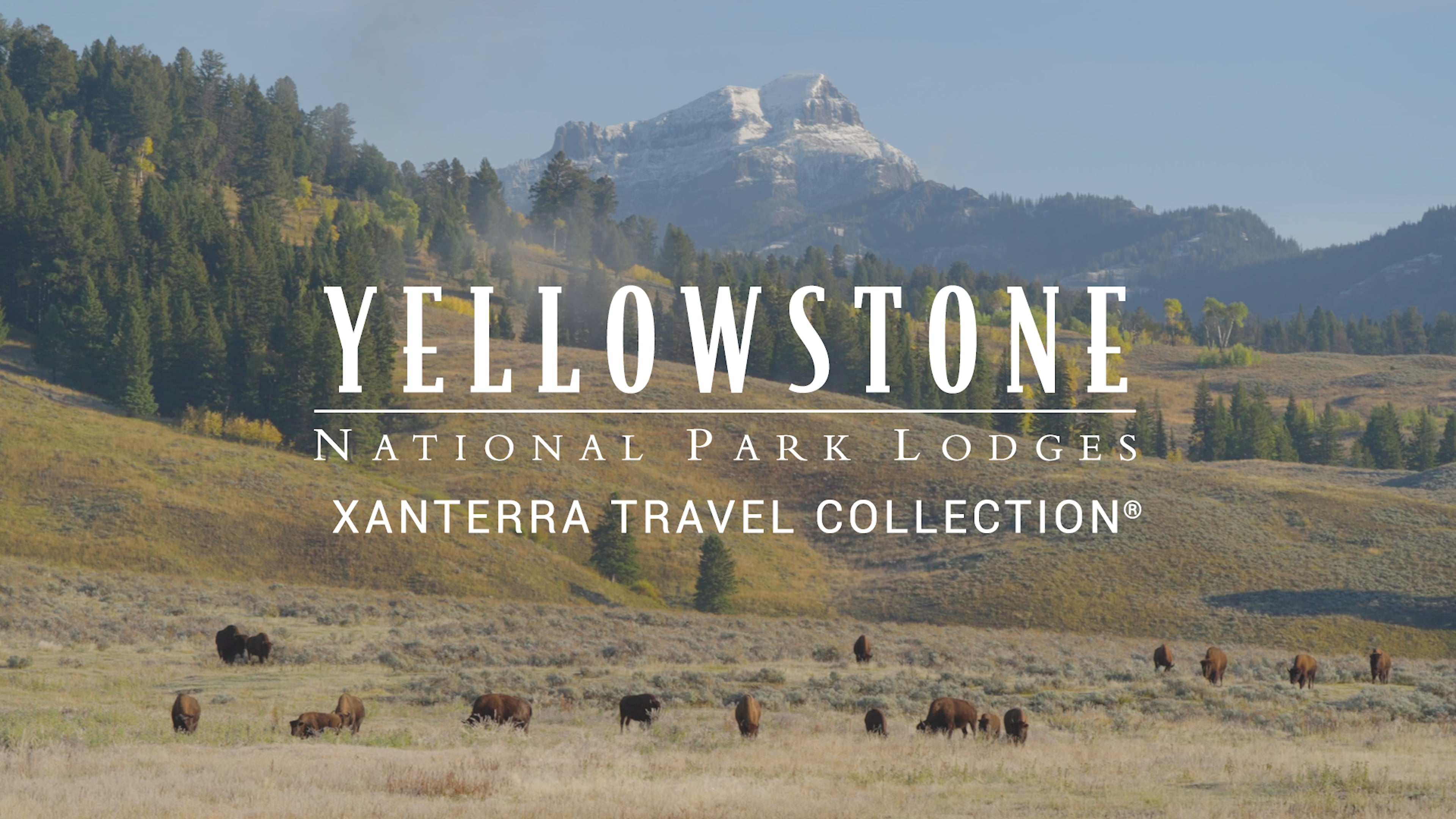 Xanterra - Yellowstone National Park