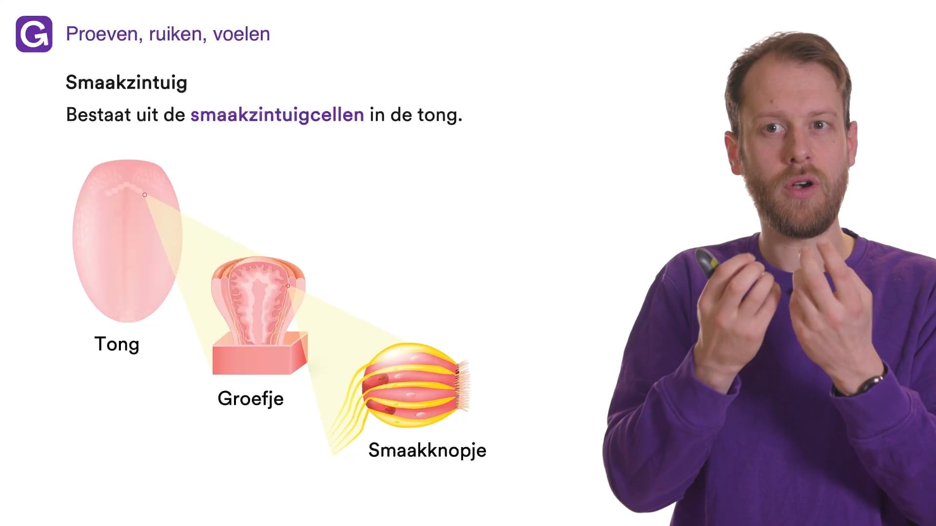 Proeven, ruiken, voelen oefenen | StudyGo