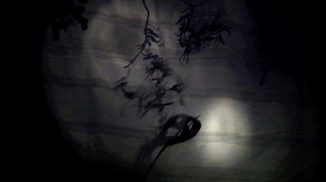 Ghosts on Vimeo