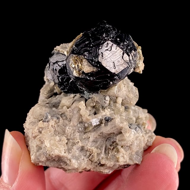 Spinel var: Pleonaste | Gon phlogopite deposit, Aldan, Sakha, Russia