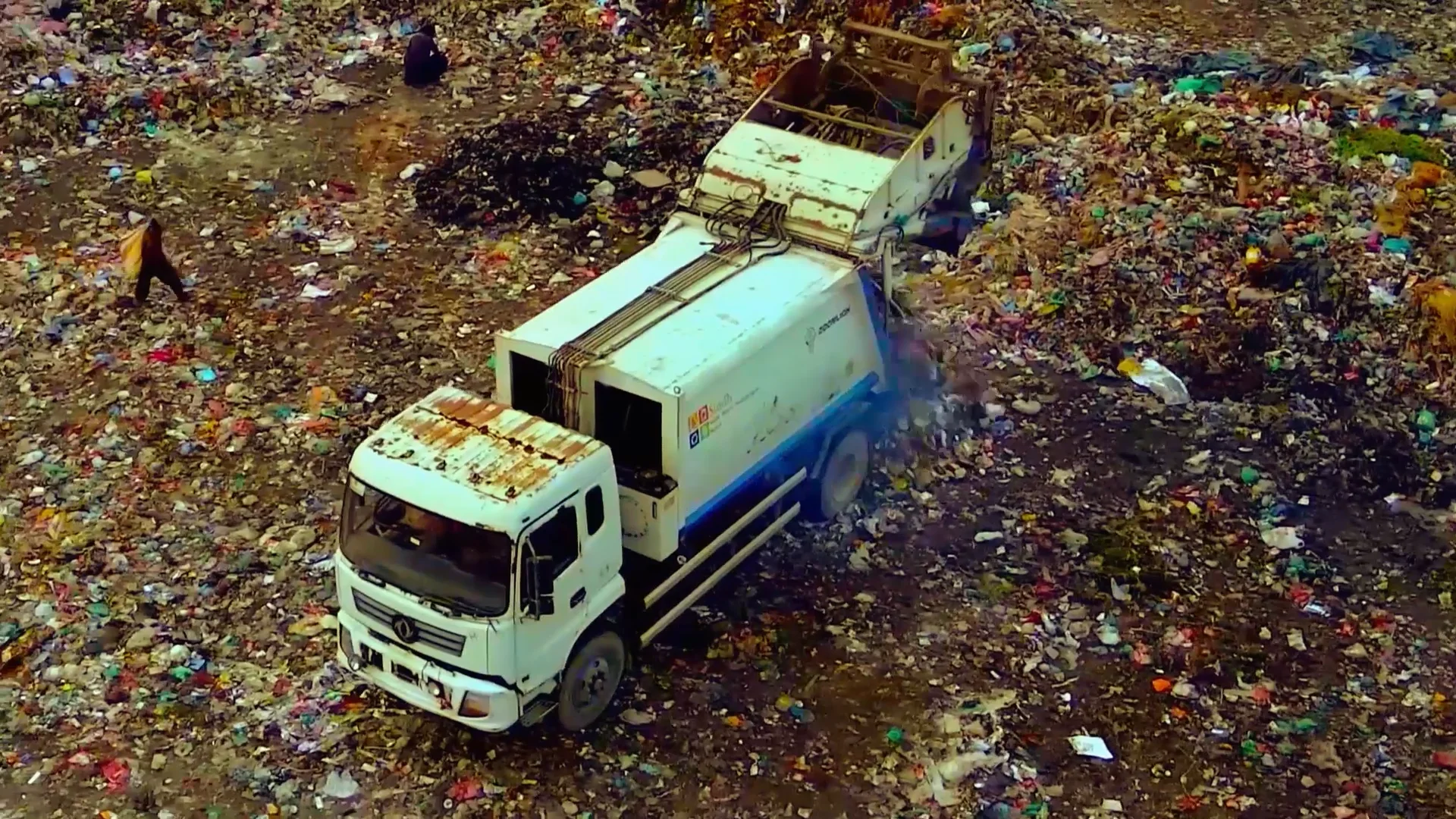 Pinnacle Fiber | Director's Cut