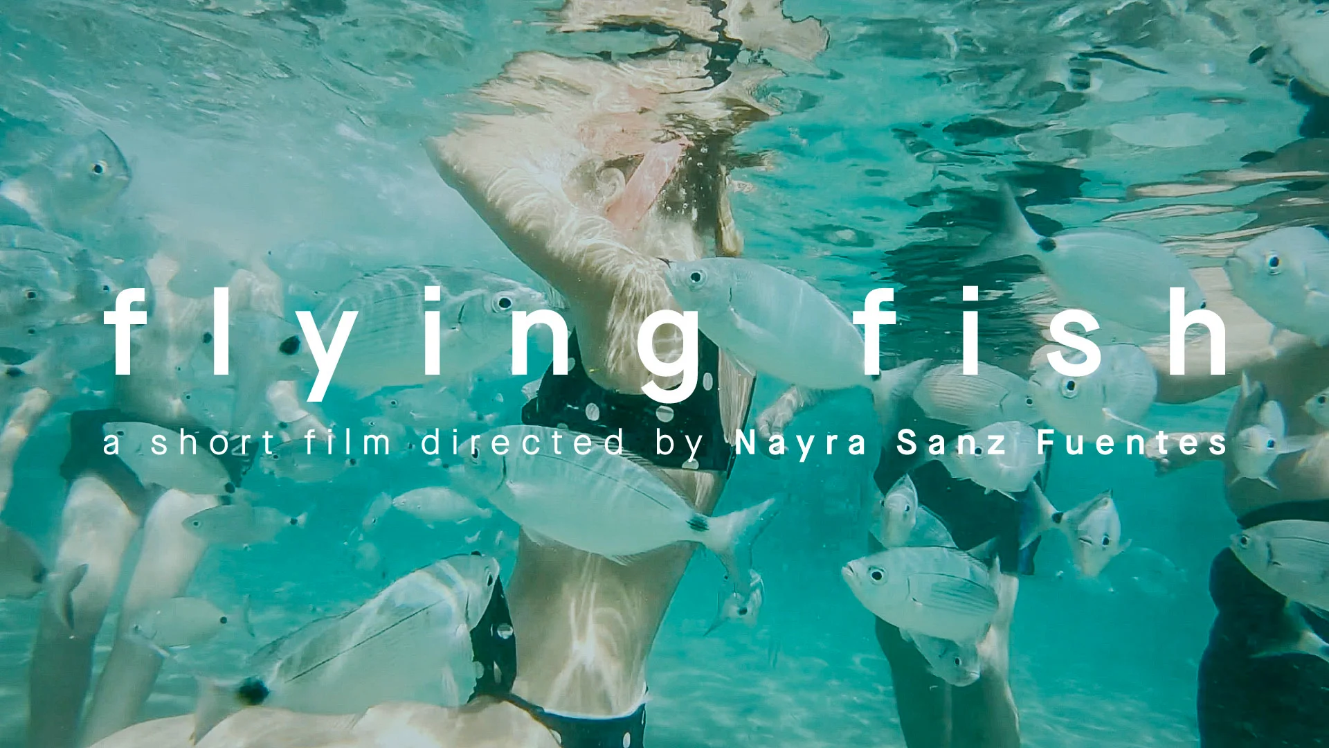 Trailer | "Flying Fish" («Pez volador»), directed by Nayra Sanz Fuentes
