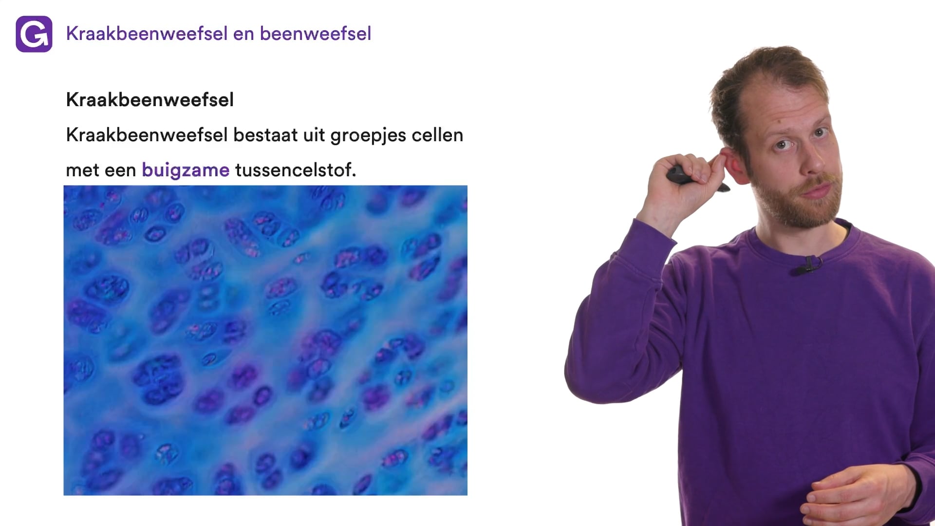Beenverbindingen oefenen | StudyGo