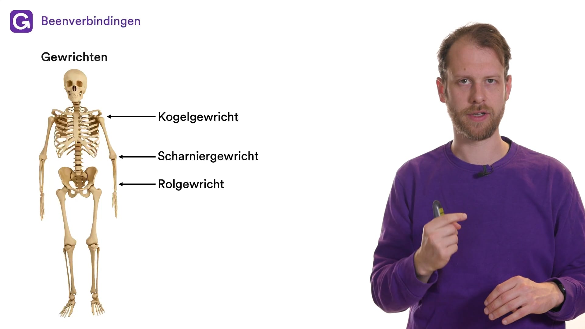 Beenverbindingen oefenen | StudyGo