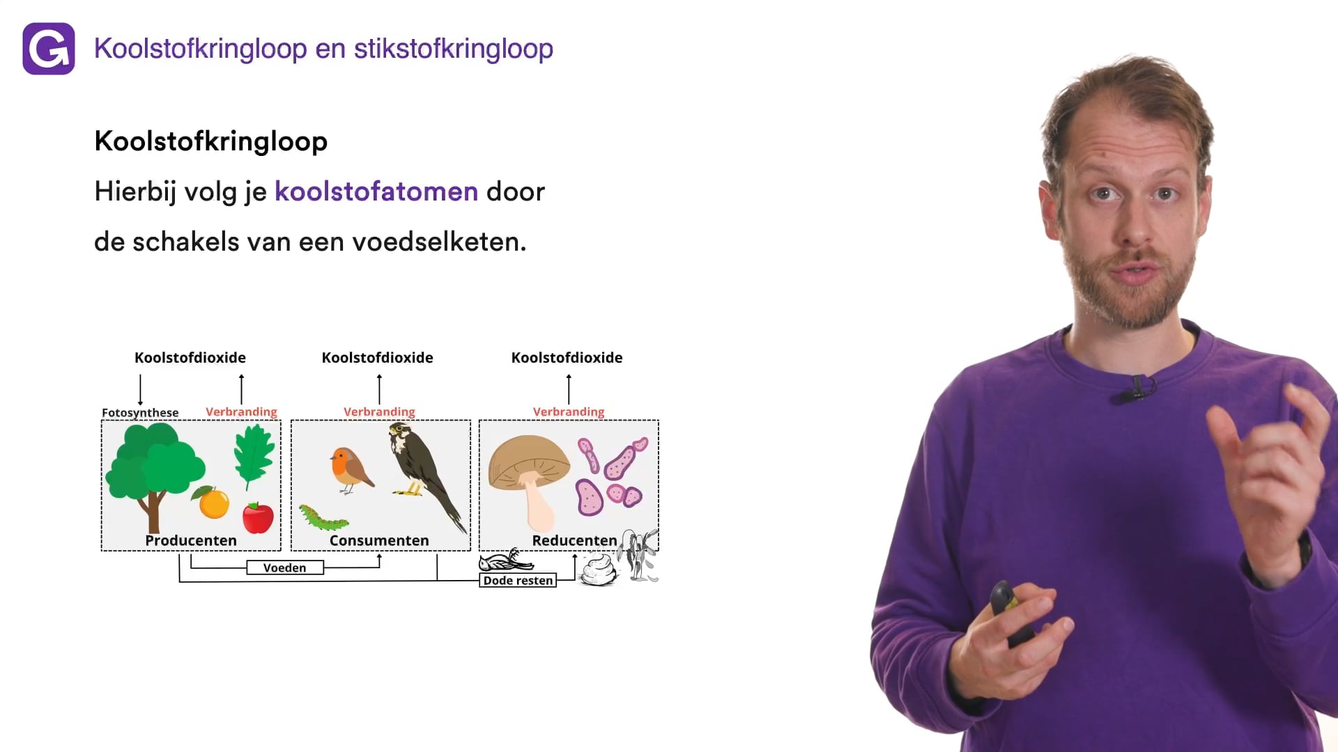 Koolstofkringloop en stikstofkringloop oefenen | StudyGo