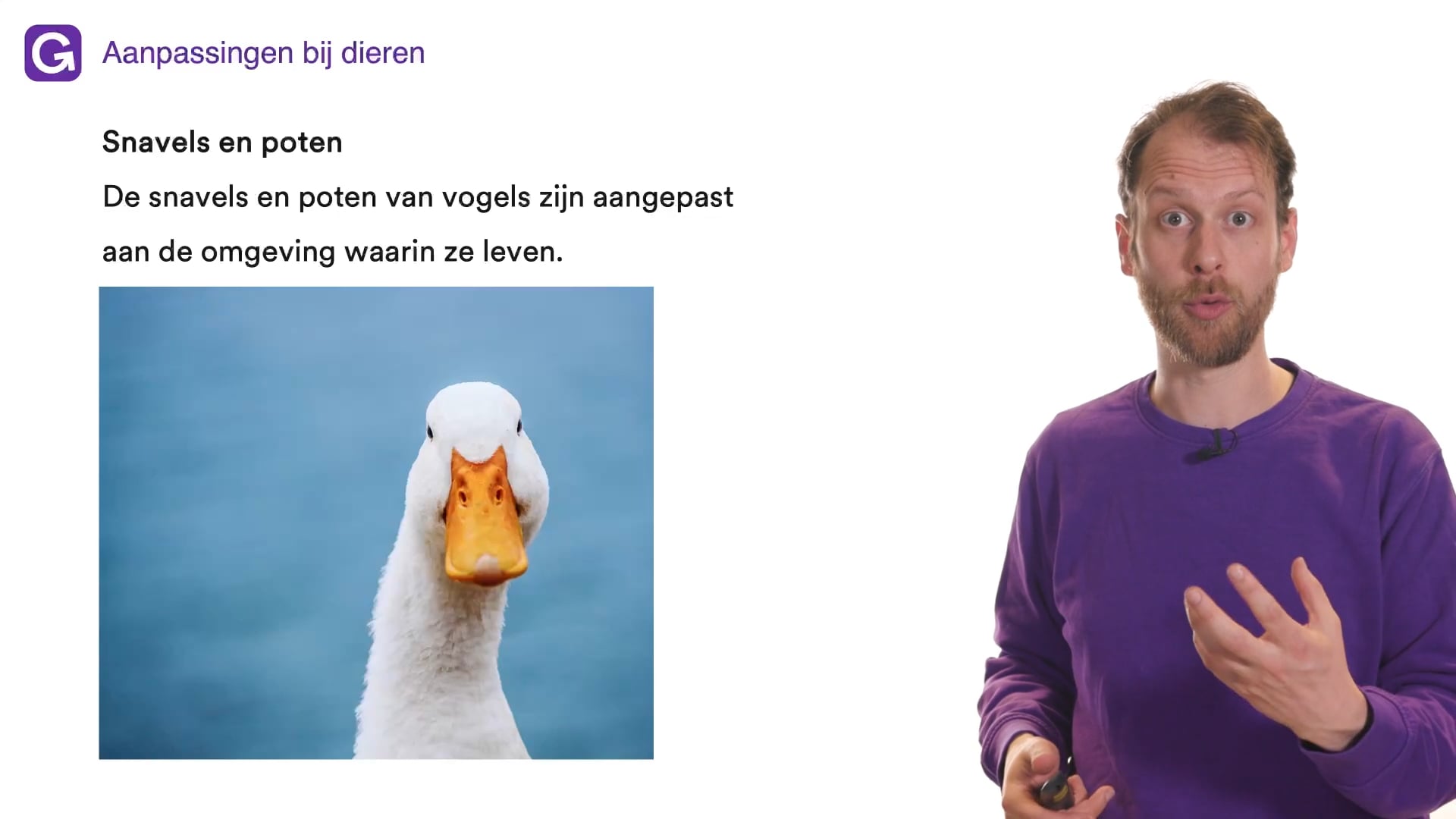 Aanpassingen bij dieren oefenen | StudyGo