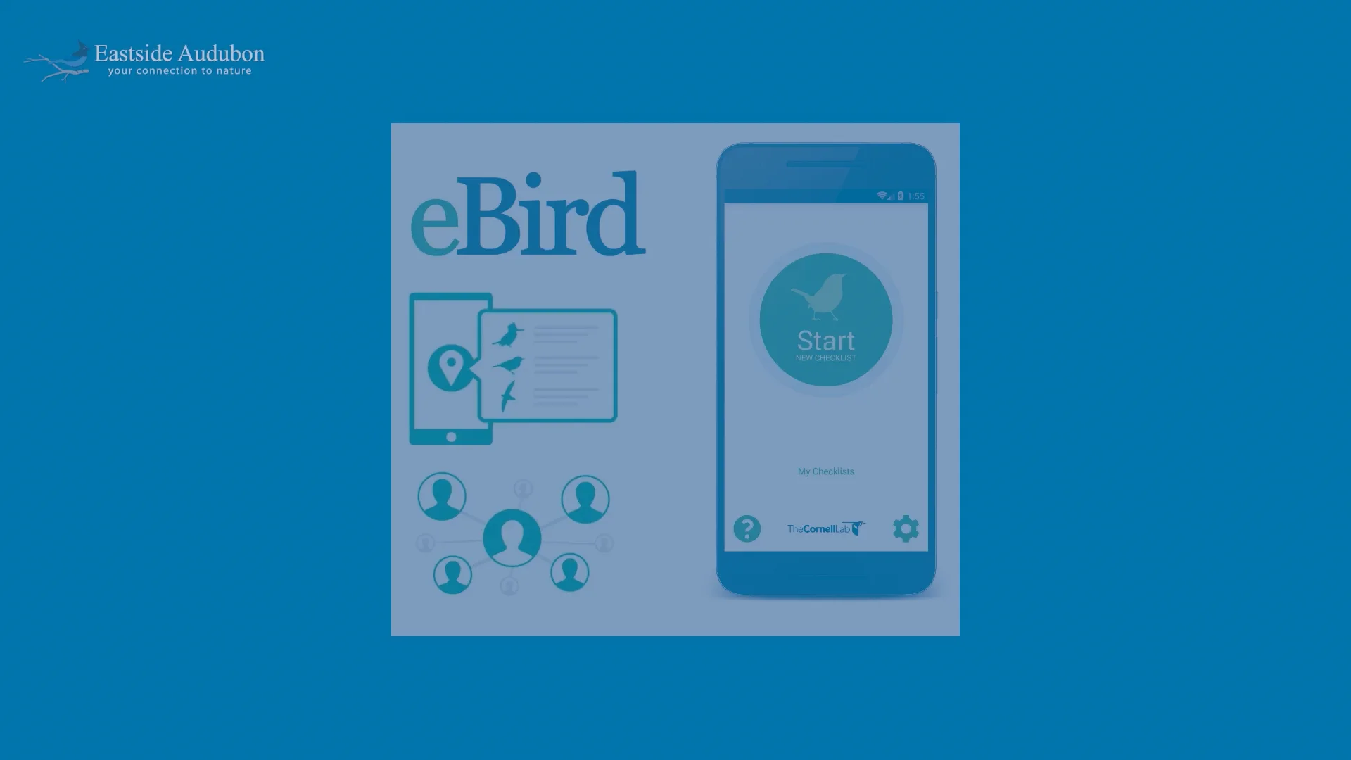 Understanding the basics of eBird on Vimeo