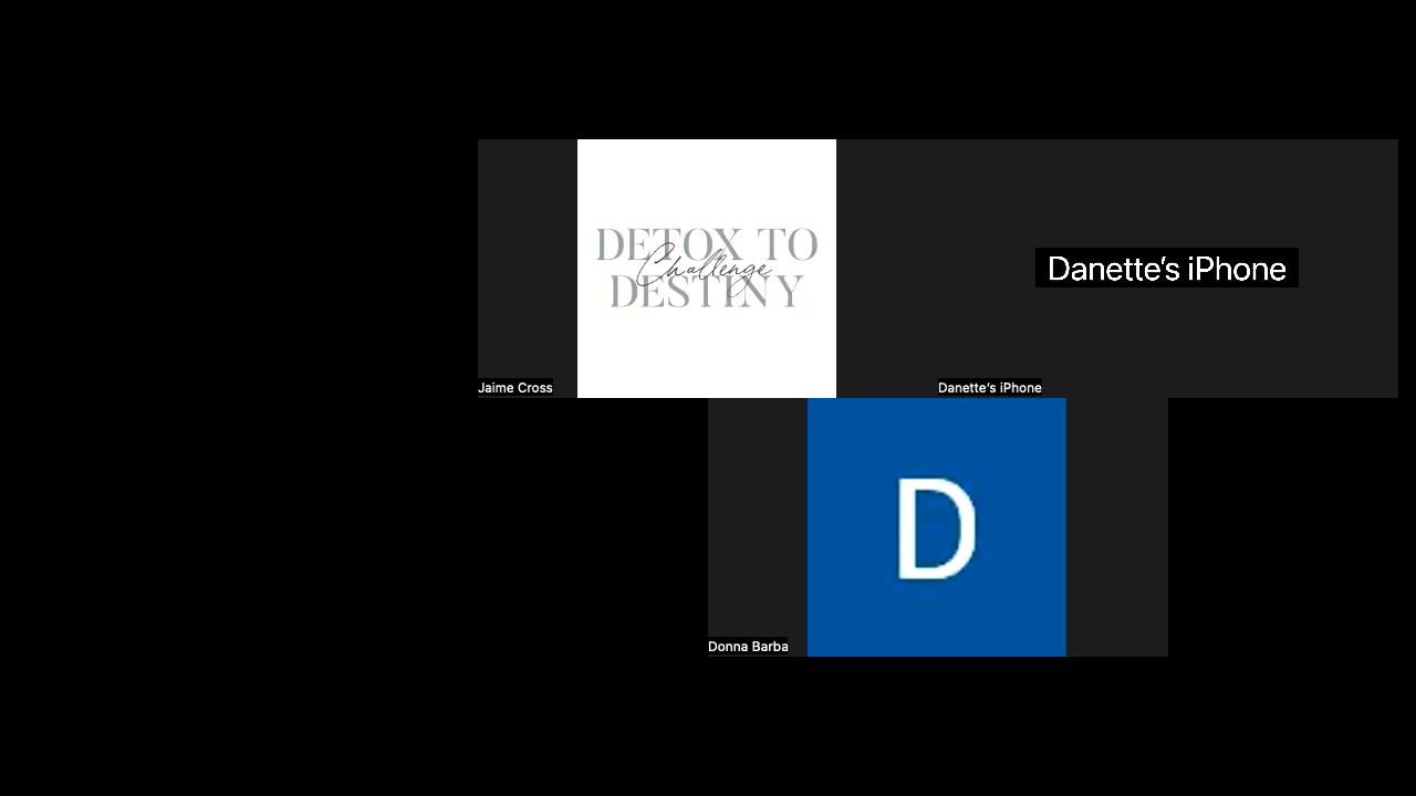 Alchemy Code Experience 25th April on Vimeo