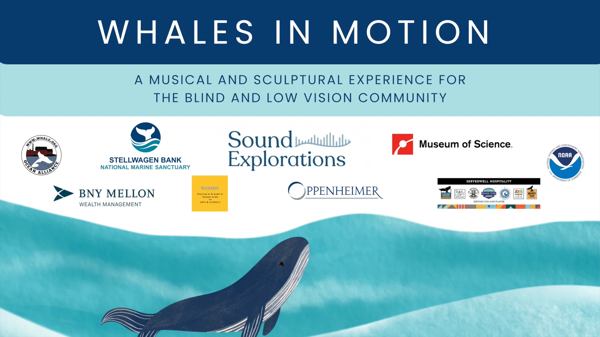 Whales in Motion at the Museum of Science on Vimeo