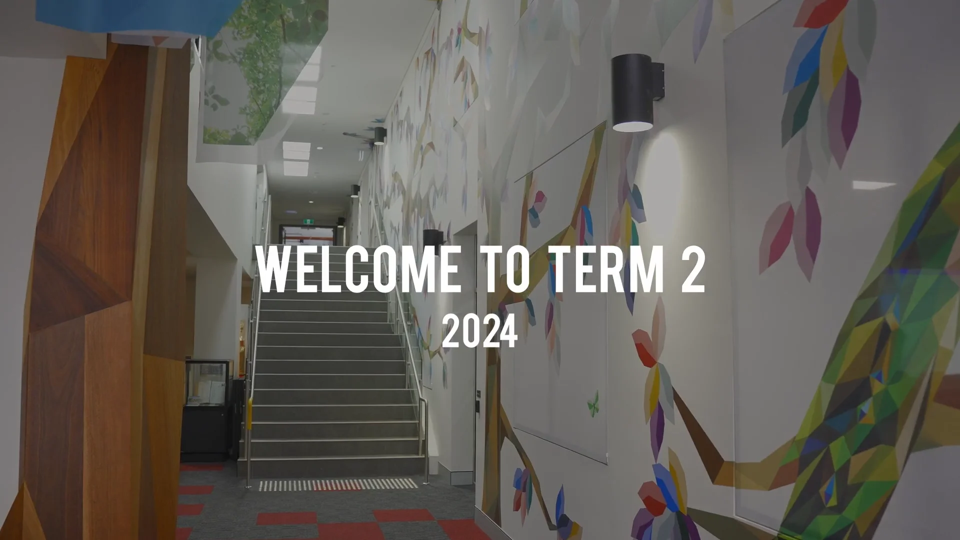 Welcome to Term 2 2024 on Vimeo