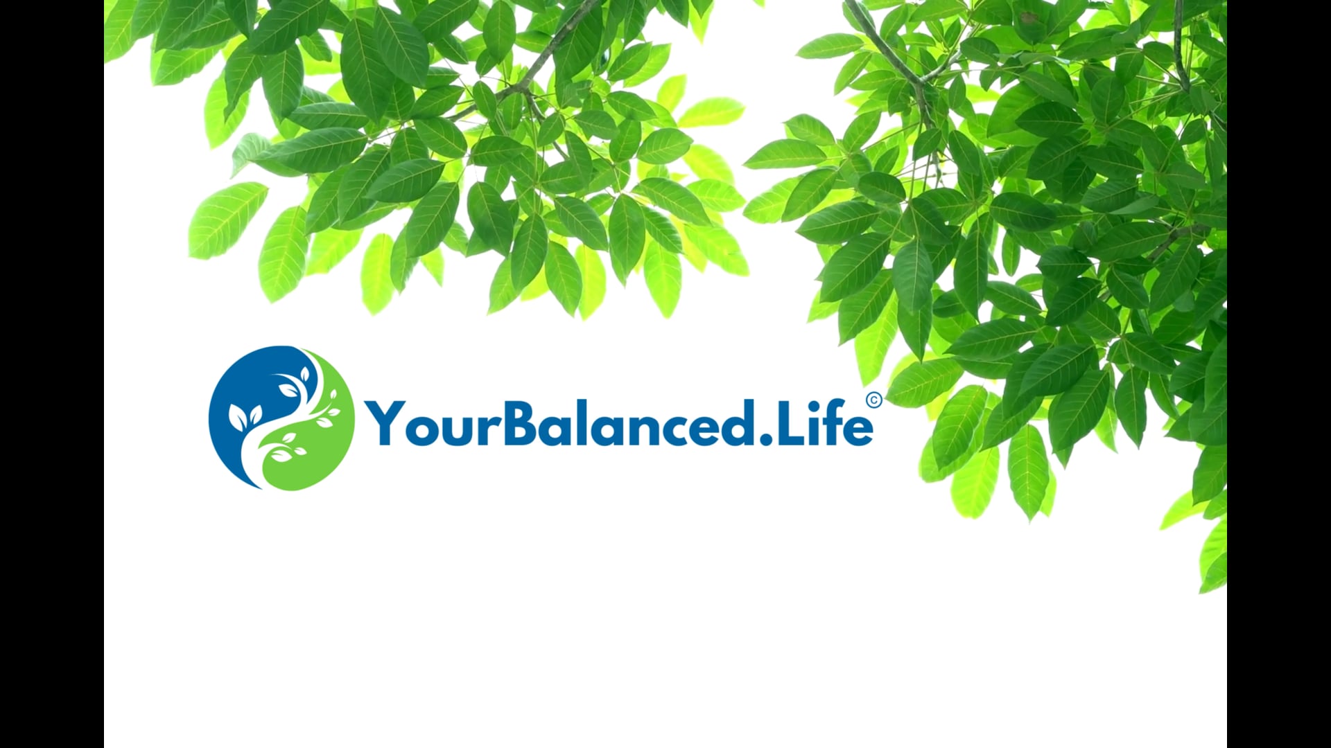 Your Balanced Life