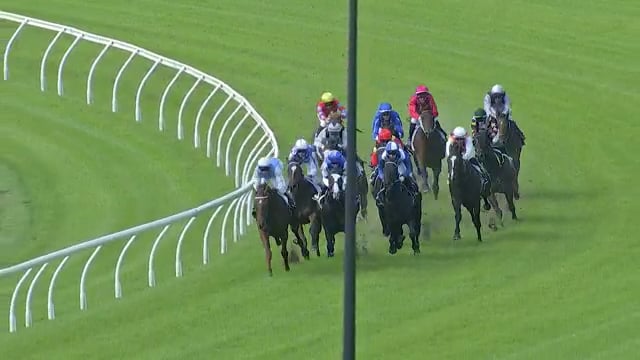 Lean Mean Machine - Stallion | Breednet