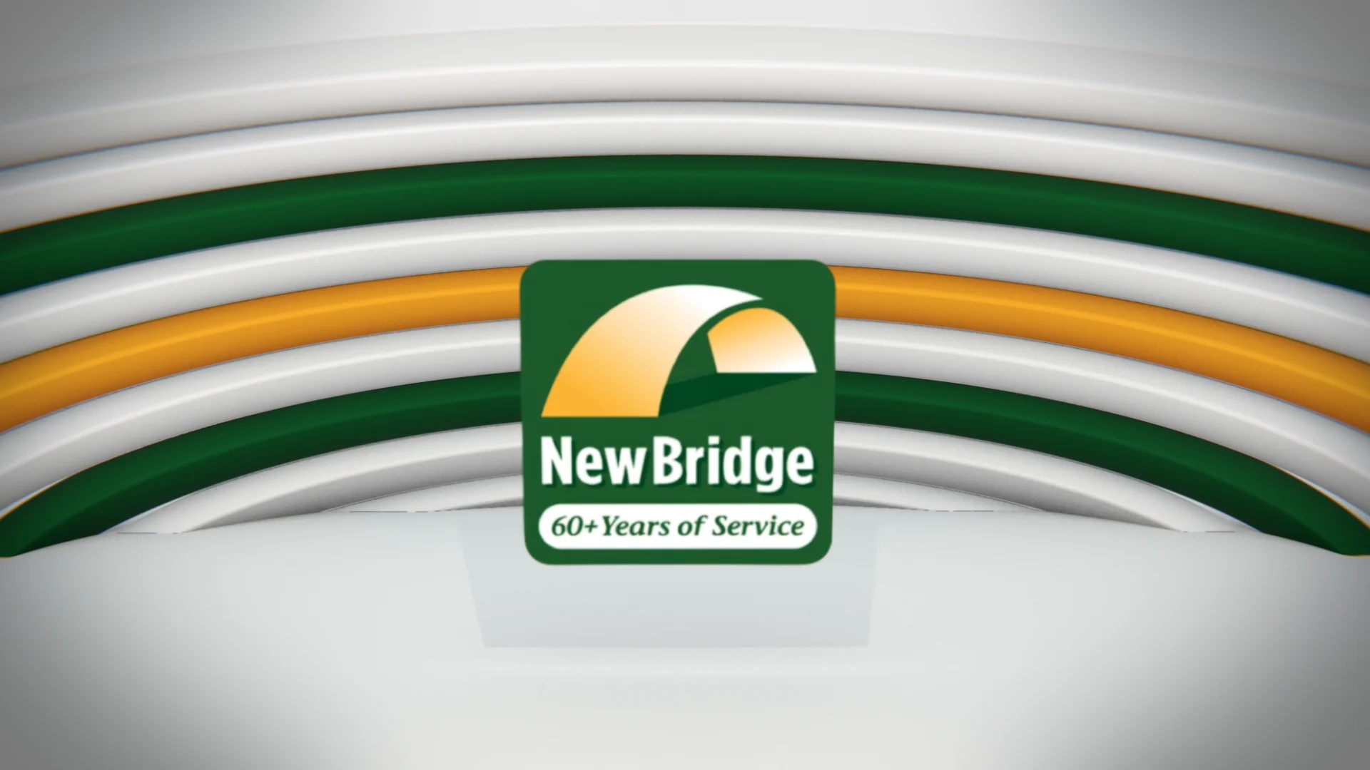 NewBridge 2024 Gala_safety copy