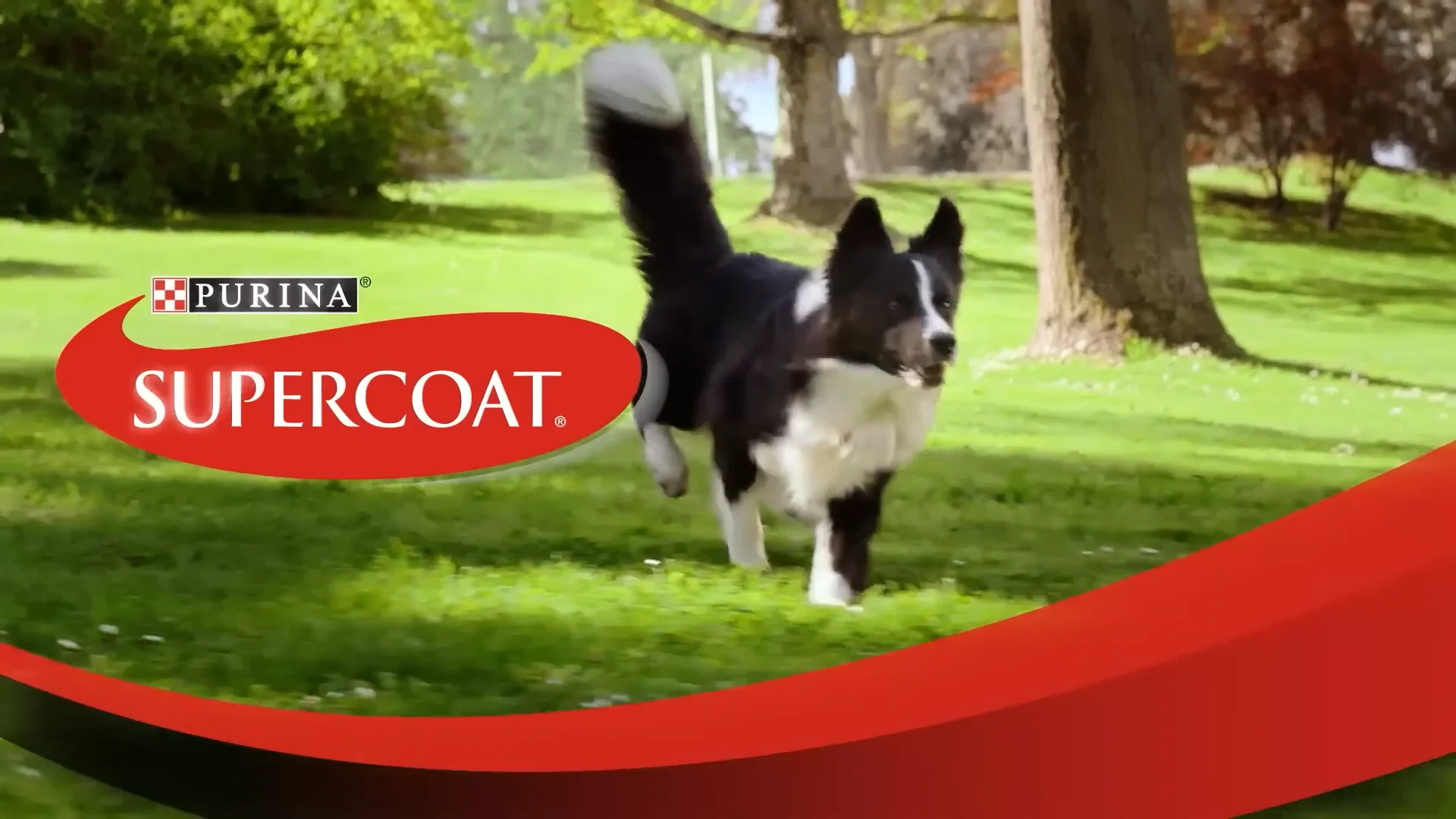 Purina Supercoat / Víctor Claramunt on Vimeo