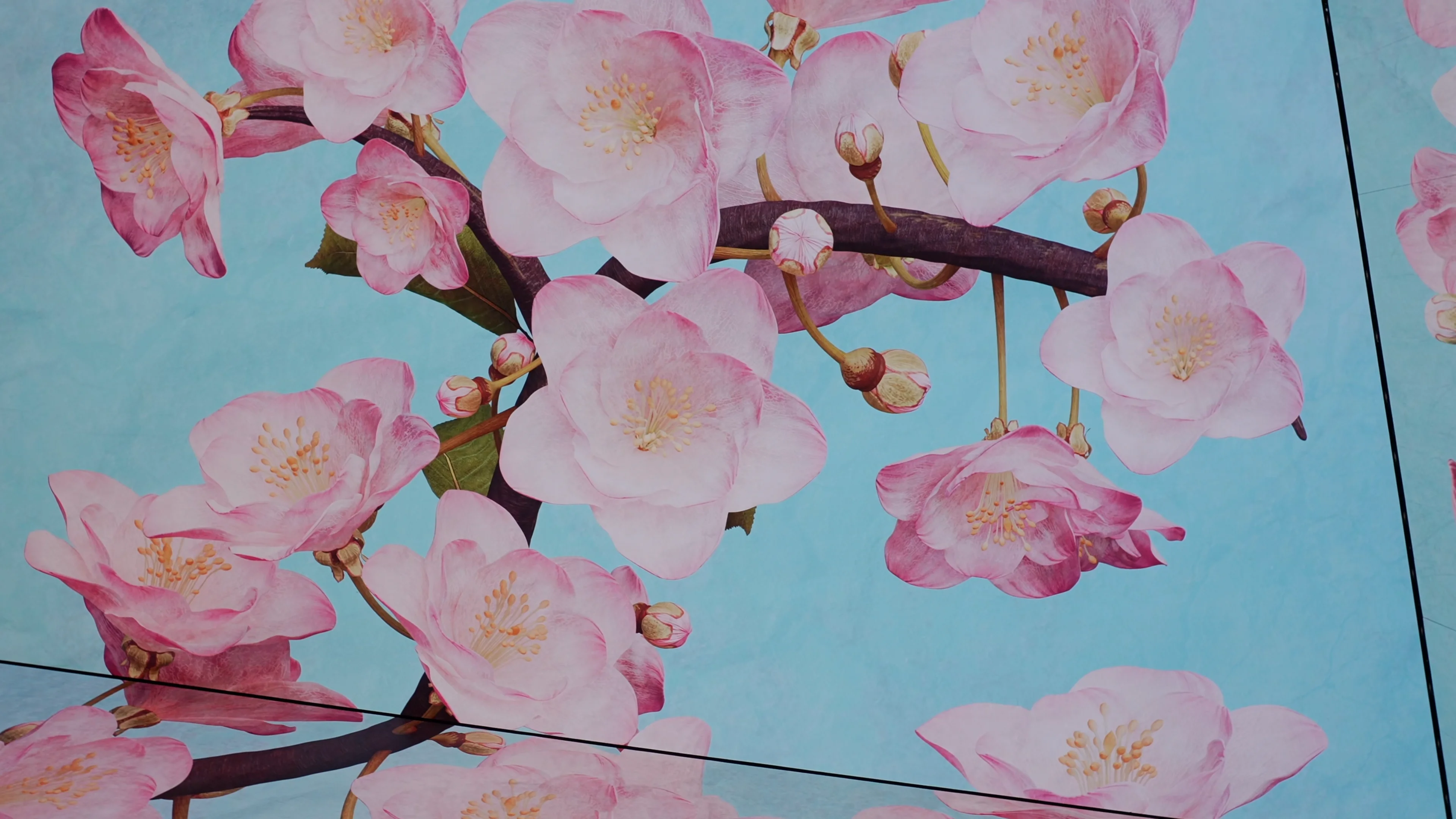 Outernet & National Trust Nature's Confetti V4 on Vimeo