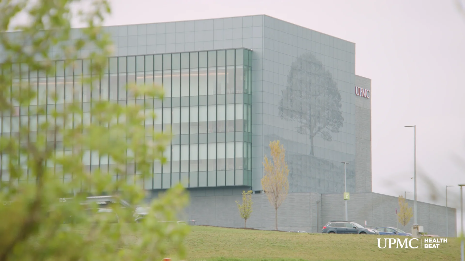 Dr. Mudge_V1 on Vimeo