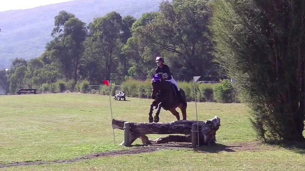 Charlie O'Sullivan riding Ginsecco 52 EvA80 Tintern Grammar Interschool ...
