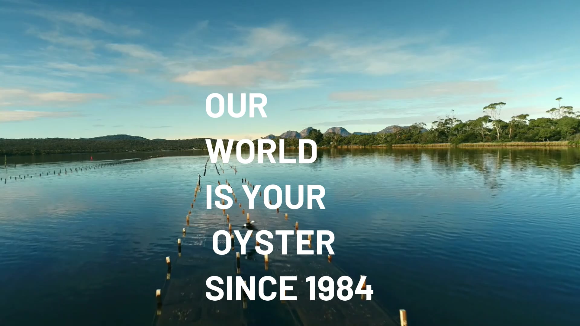 Experience the Freshest Oyster Shucking at Melshell Oysters