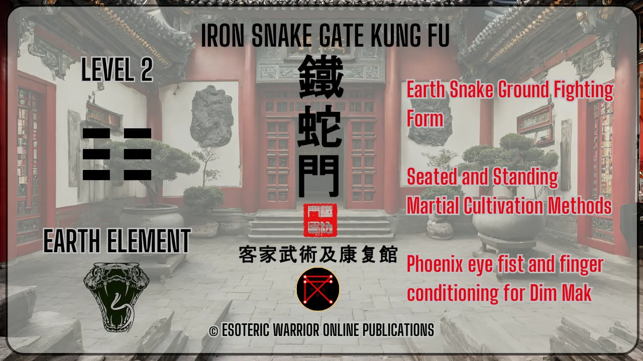 Watch IRON SNAKE GATE KUNG FU - Level 2 : Earth Element Online | Vimeo ...