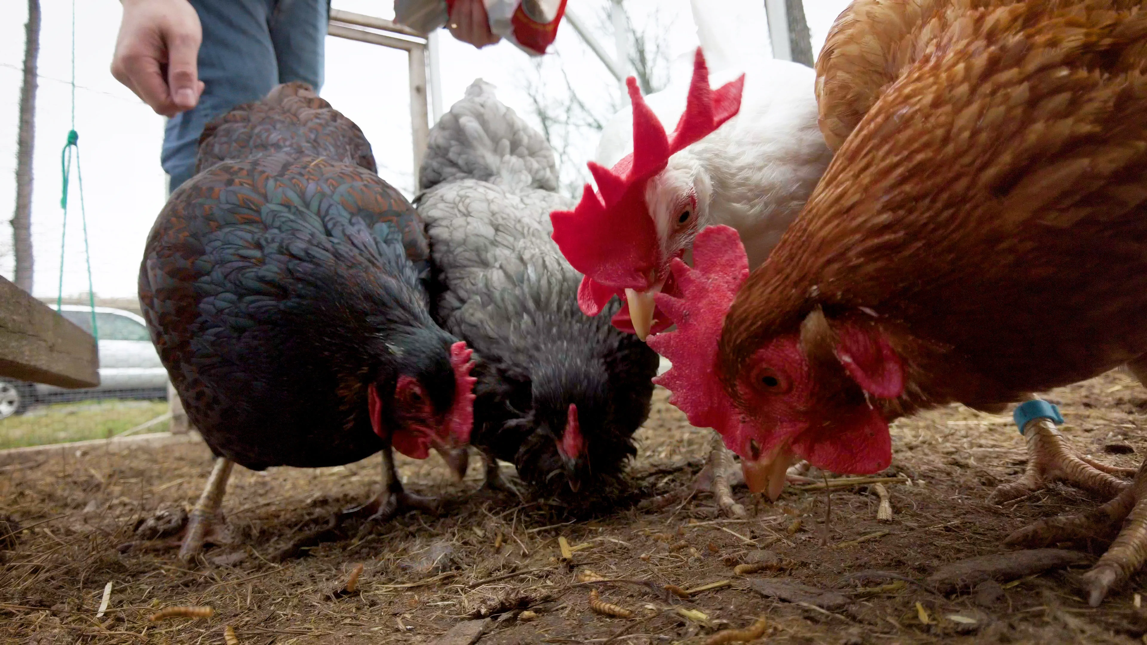 Helyar House on Vimeo