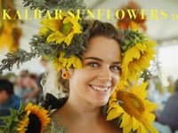 Kalbar Sunflower Festival | Events | Queensland