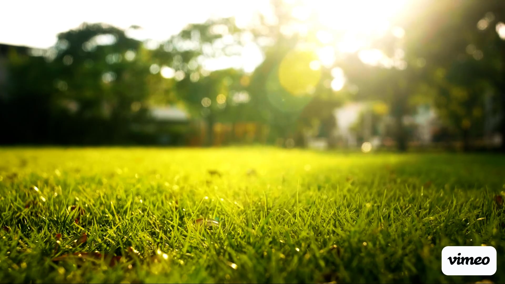 Cross-Cut Lawn Care Services