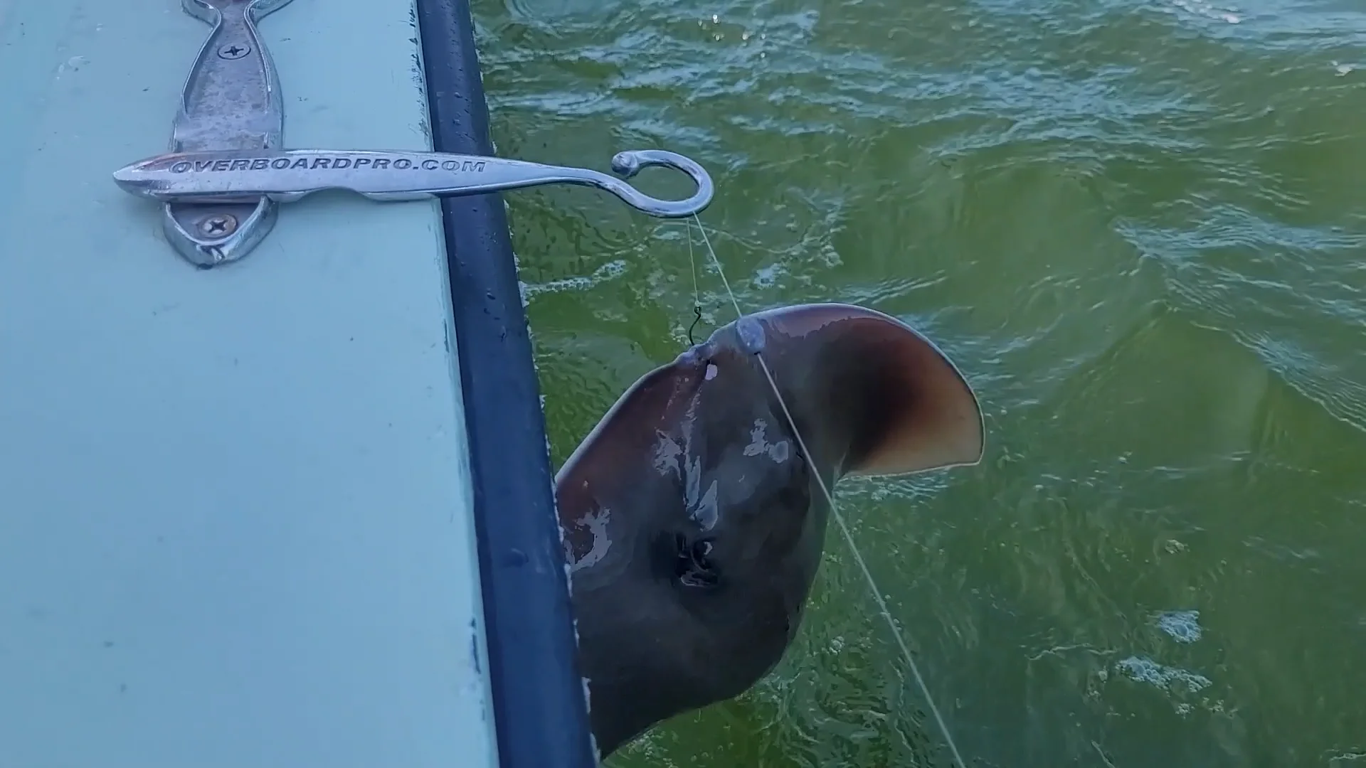 OVERBOARD PRO: THE ORIGINAL MOUNTED "HANDS-FREE" FISH DEHOOKER!