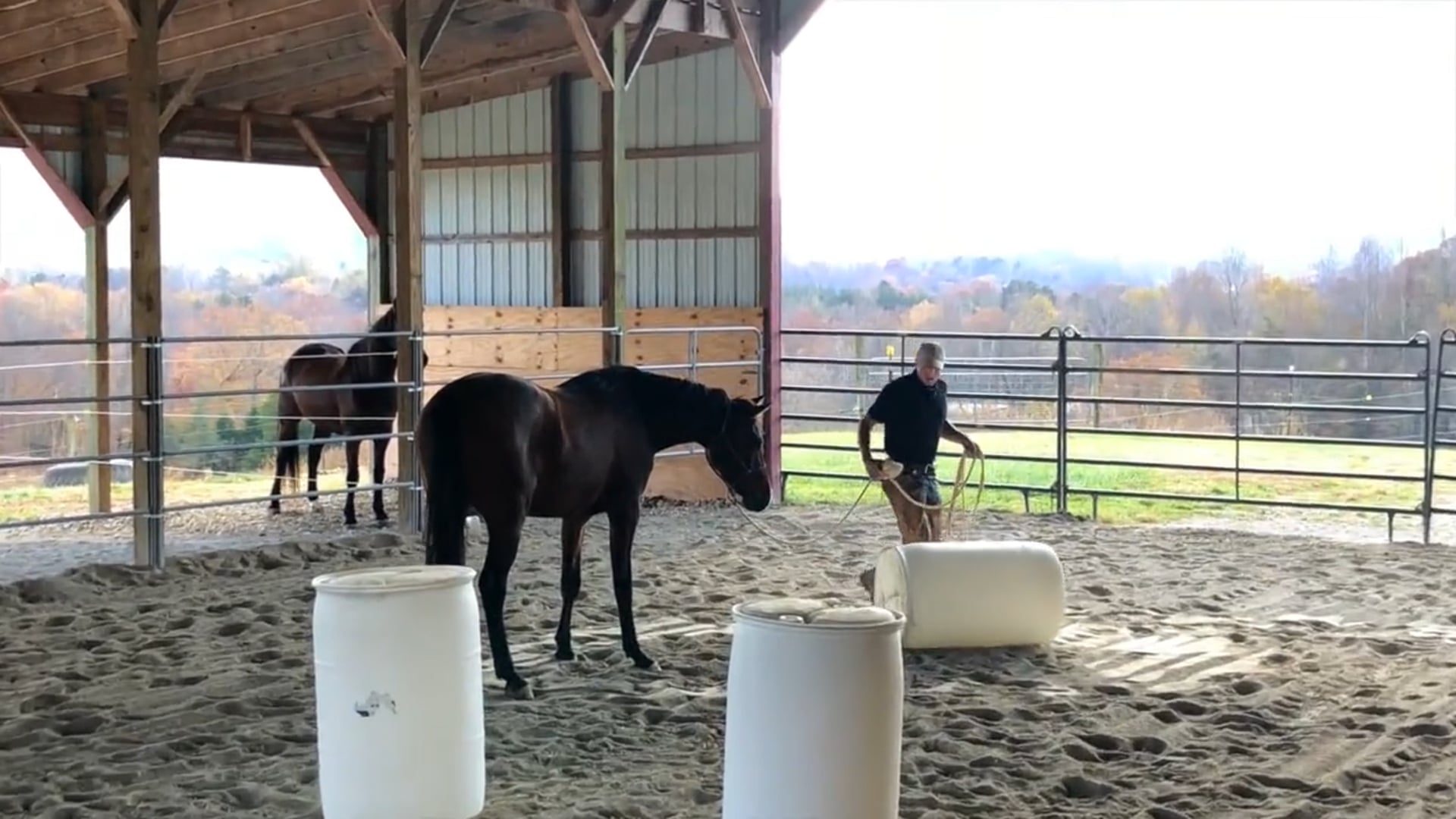 Introducing "Scary" Objects | Ridely