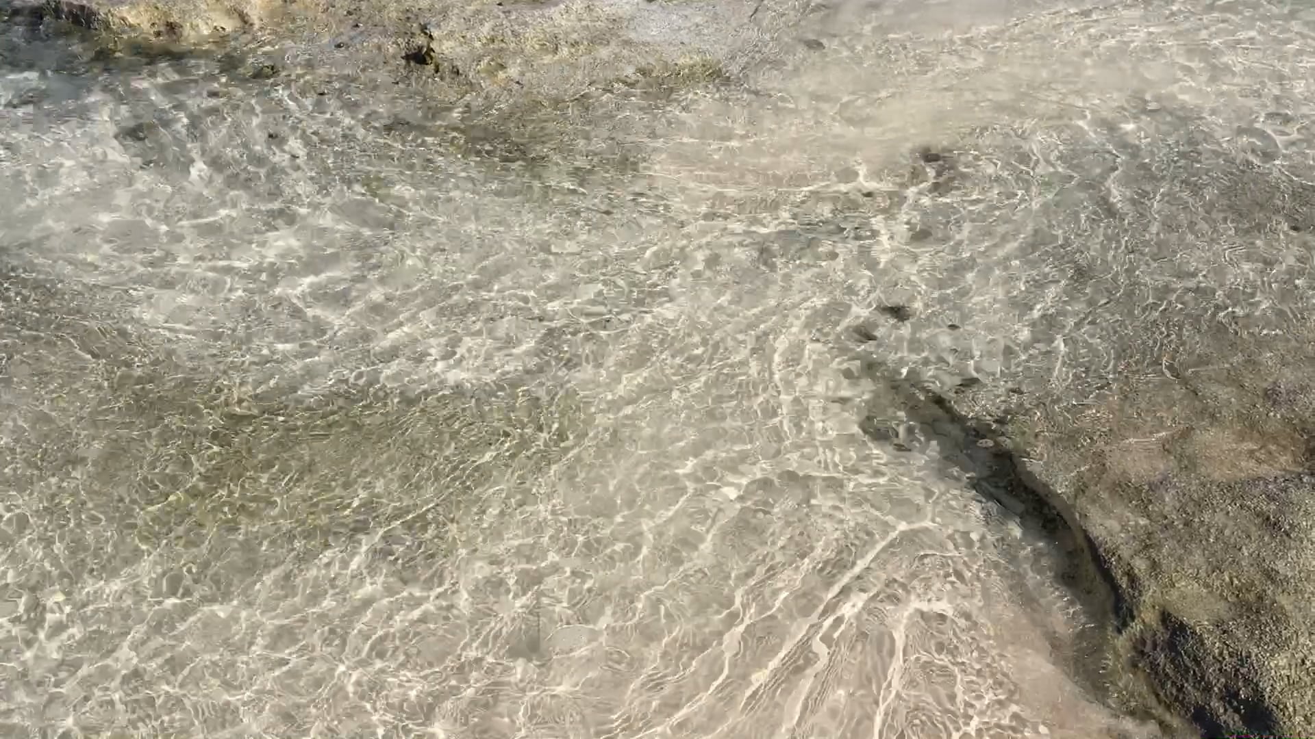 Dempster Contemporary Art - Contemporary Art, Contemplation, Artist