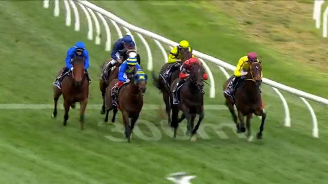 Doull - Stallion | Breednet