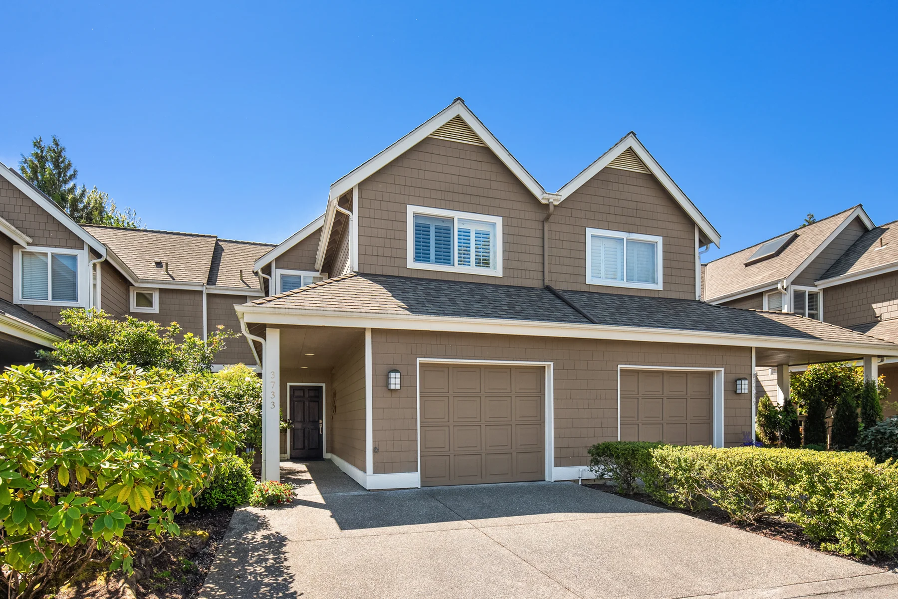 Denise O'Connell Cinemagraph unbranded