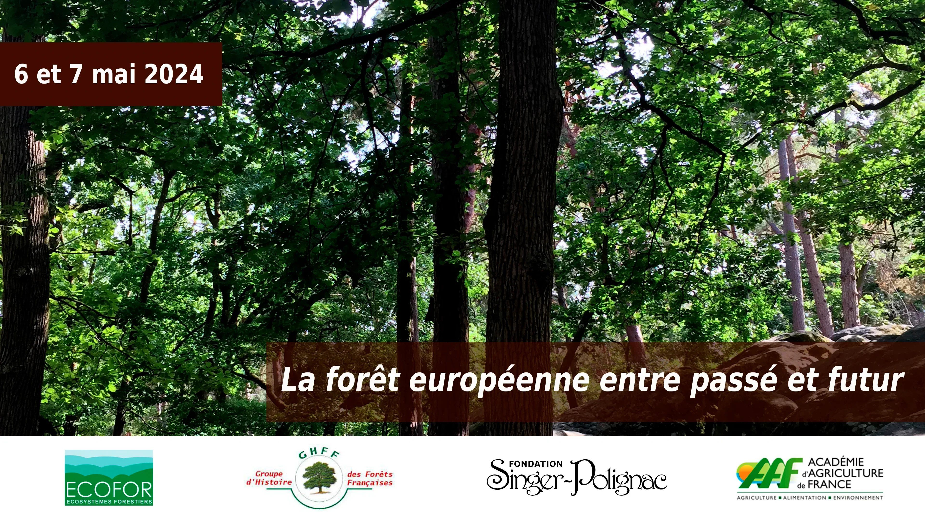 LA FORÊT EUROPÉENNE : ENTRE PASSÉ ET FUTUR; Session 2 (2/2) on Vimeo