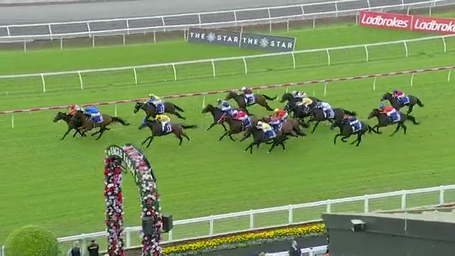 Hallowed Crown - Stallion | Breednet