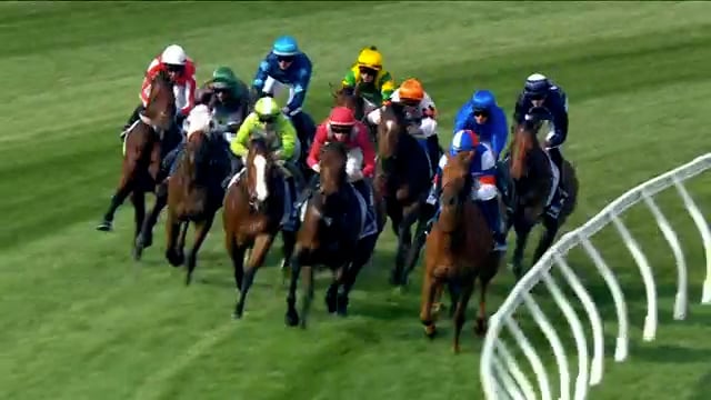 Lean Mean Machine - Stallion | Breednet