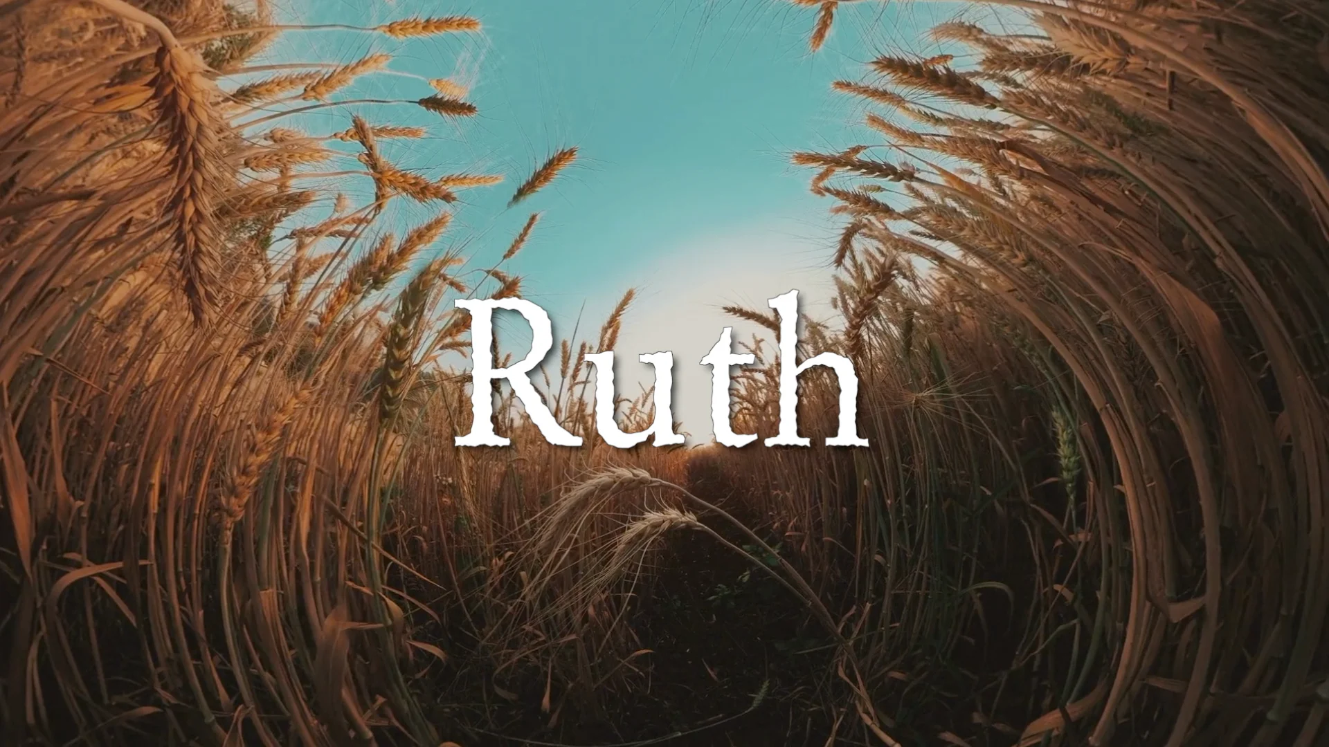 Ruth 2 | Cedarbrook Church