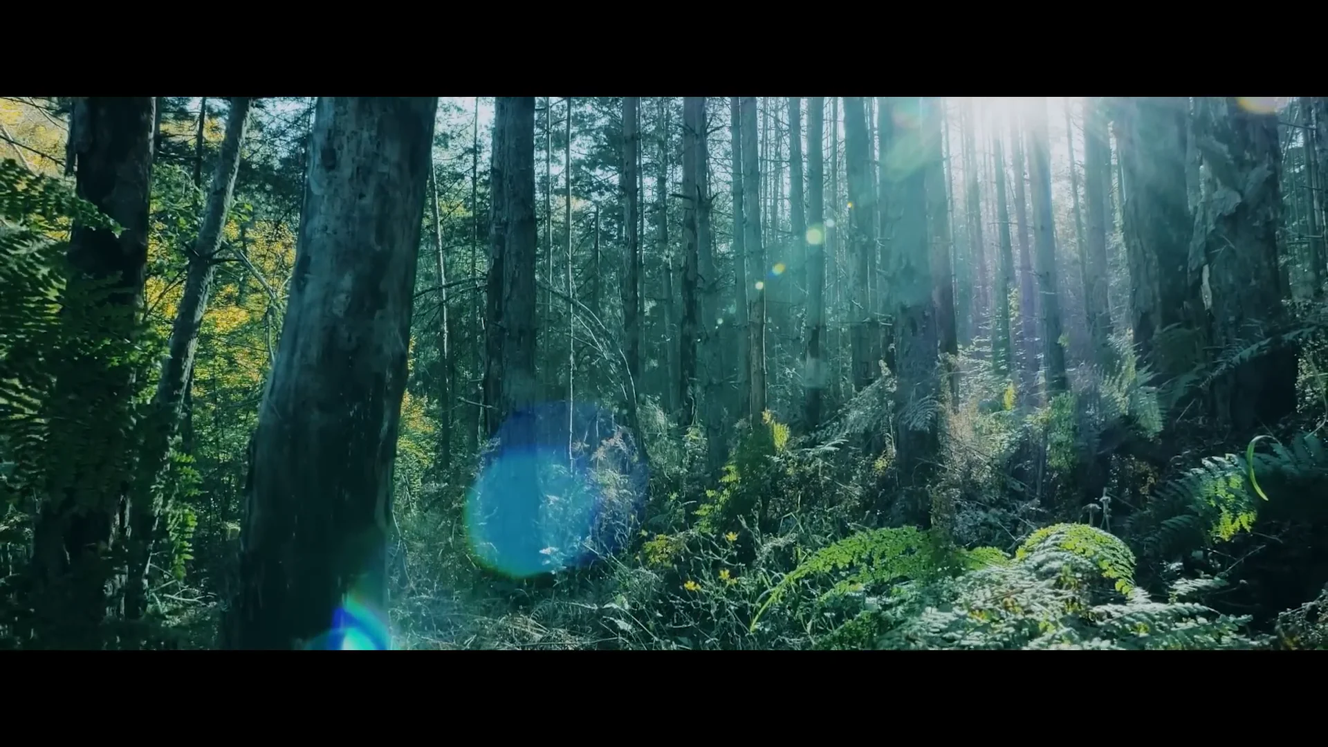 SOLUM Full Movie Sci- Fi Movies The Midnight Screening