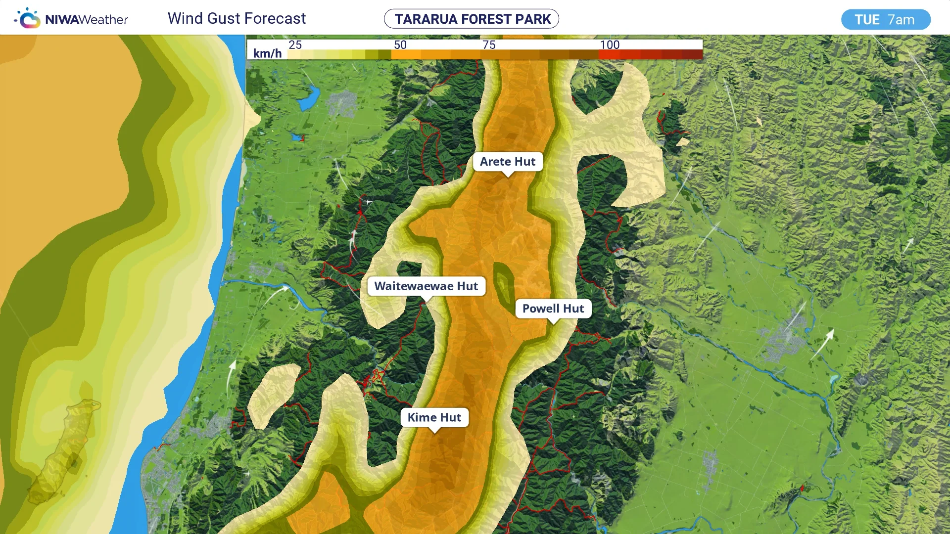 Tararua Forest Park Weather Outlook on Vimeo