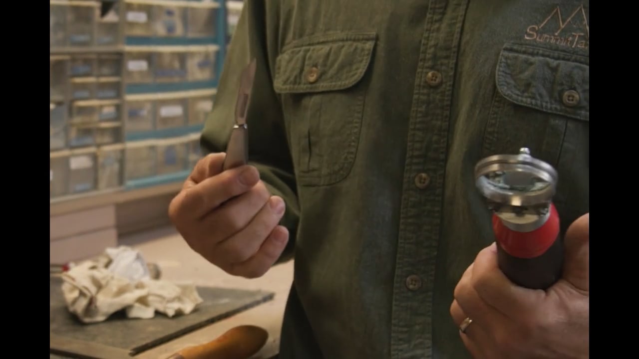 Bettcher - Whizard Versa | Taxidermy Testimonial (Short Version ...