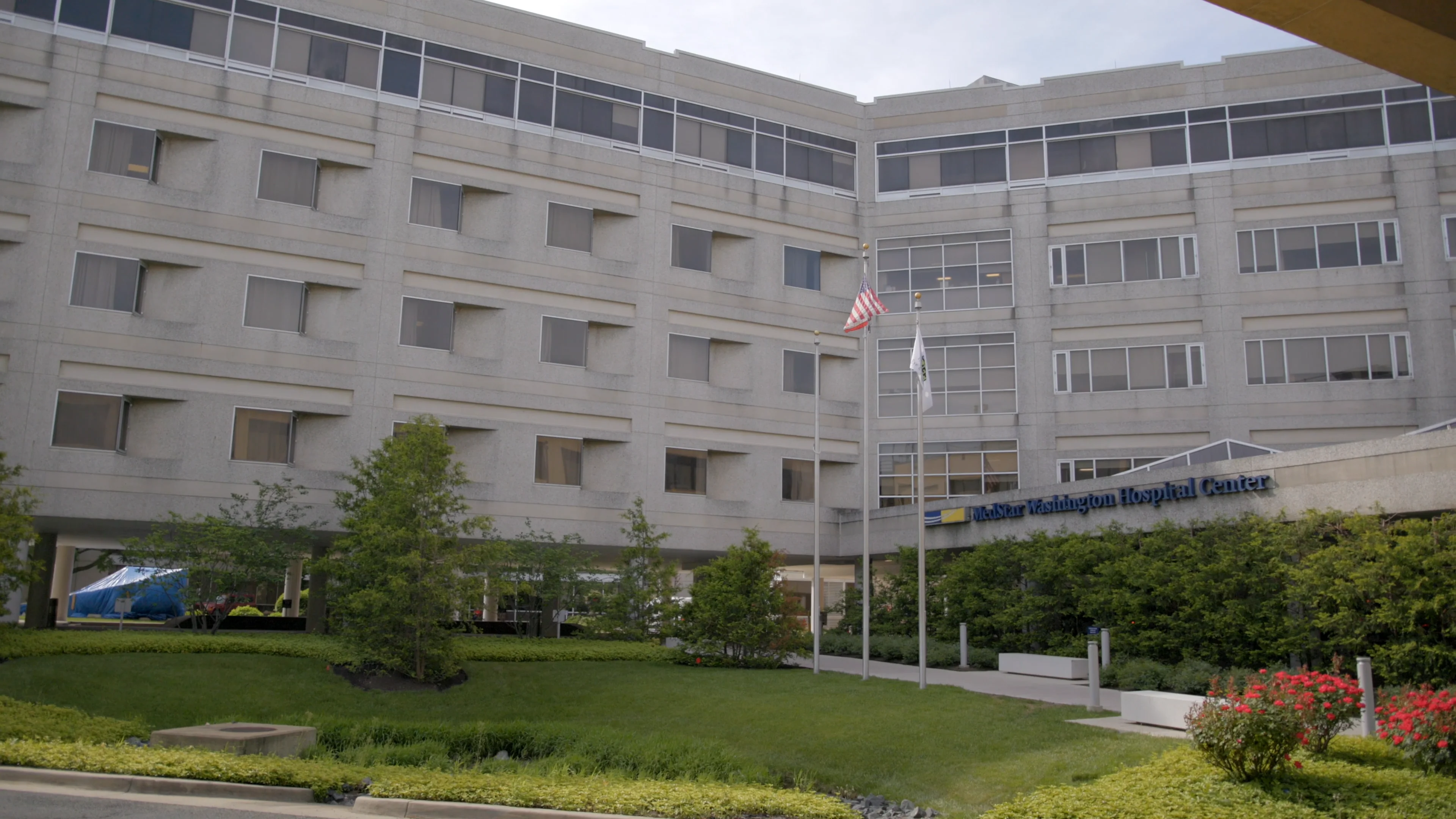 MedStar Washington Hospital Center Nursing Professional Practice Model