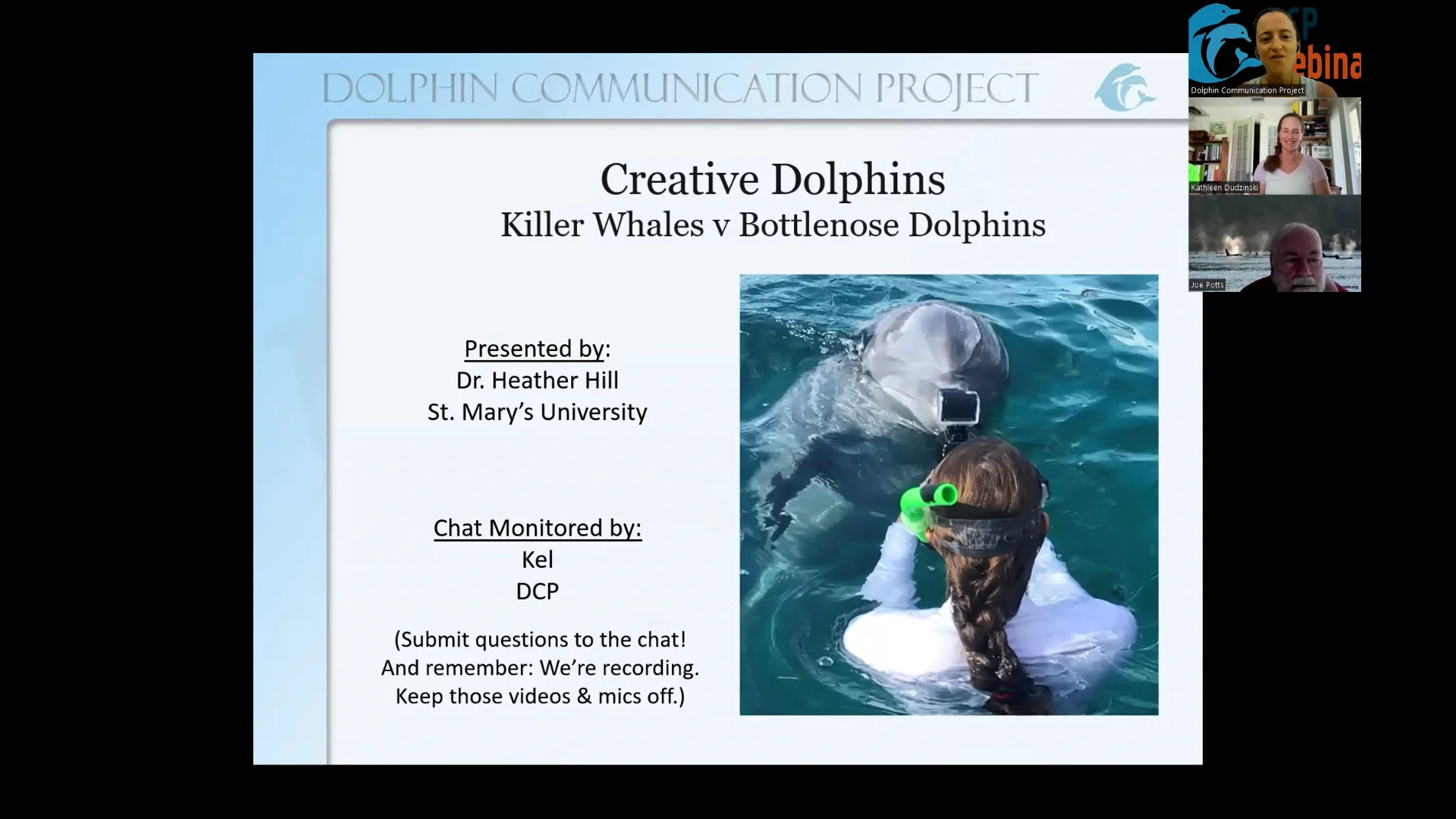 DCP Deep Dive: Creative Dolphins – Killer whales vs Dolphins on Vimeo