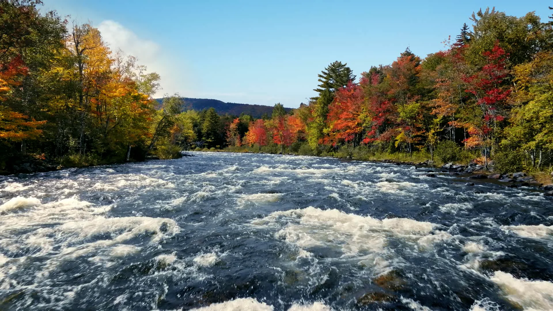 Poland Spring 30s on Vimeo
