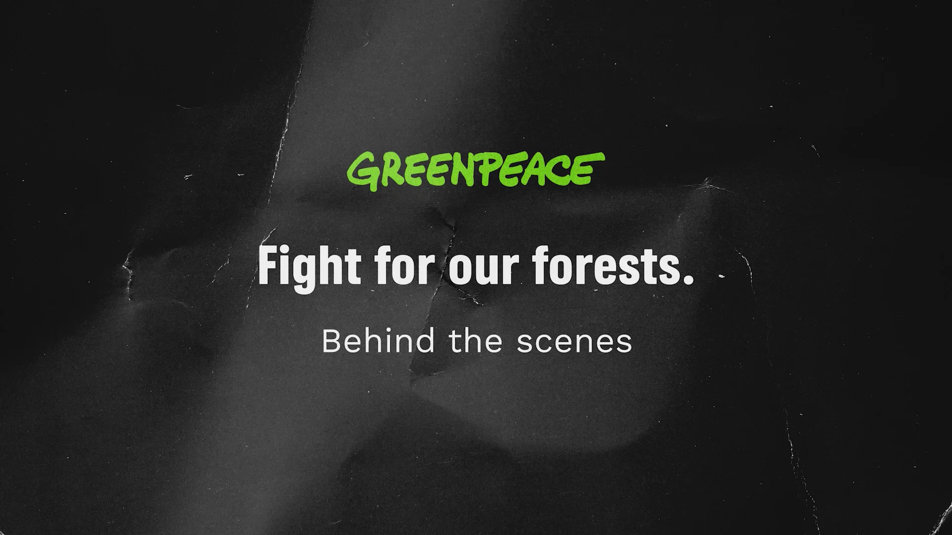 Greenpeace Fight for our Forests Behind the Scenes on Vimeo