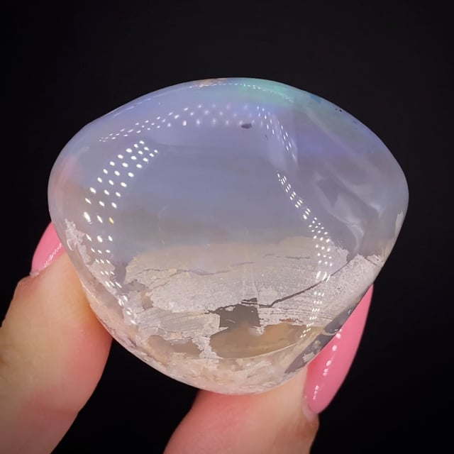 Opal replacement of Clam Fossil - JWL24-24 - Coober Pedy - Australia ...