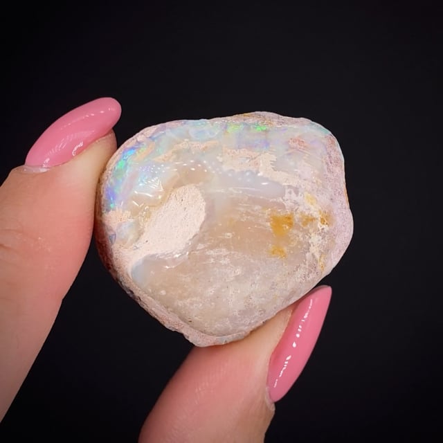 Opal replacement of Clam Fossil - JWL24-25 - Coober Pedy - Australia ...