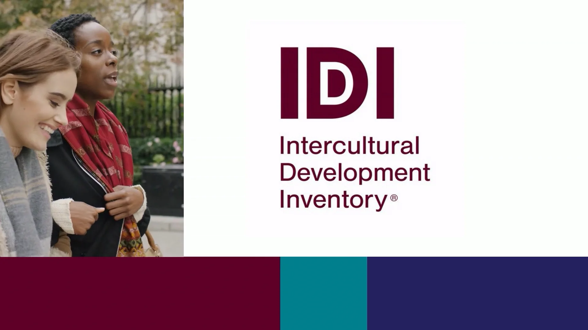 Intercultural Development Inventory Overview