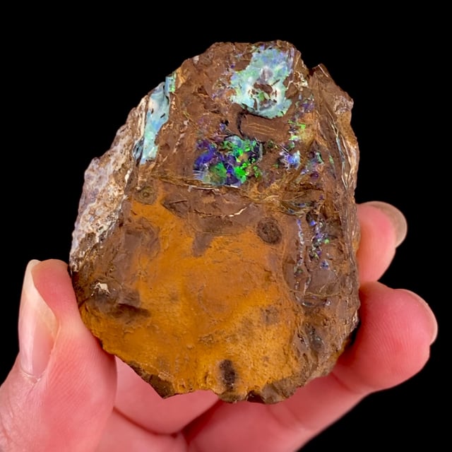 Boulder Opal | Quilpie, Quilpie Shire, Queensland, Australia